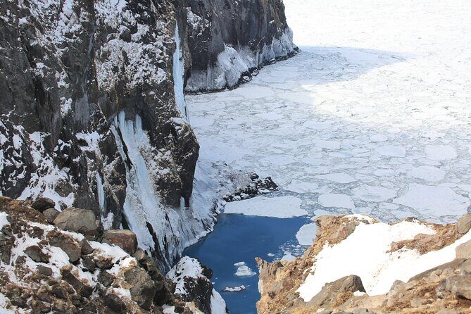 3.5hours Primeval Forest Snowshoe hike and Wildlife Watching Tour - Authenticity and the Guide’s Role