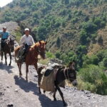 3-Day Chimgan Trekking Tour - Who Will Love This Tour, and Who Might Not?
