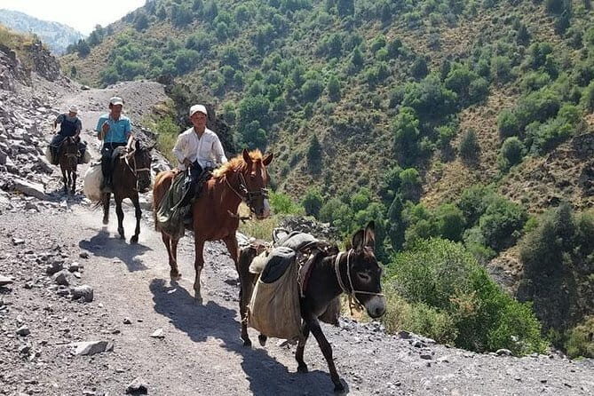 3-Day Chimgan Trekking Tour - Who Will Love This Tour, and Who Might Not?