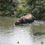 3 Day Chitwan Jungle exploration Tour from Pokhara - Practical Tips & Considerations