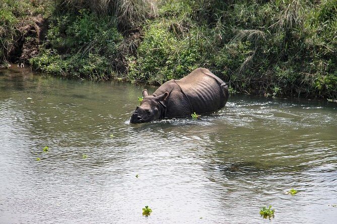 3 Day Chitwan Jungle exploration Tour from Pokhara - Practical Tips & Considerations