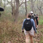 3-Day Chitwan National Park Jungle Safari Tour Package with Pick Up - What to Expect from the Itinerary