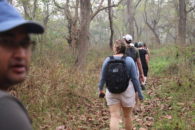 3-Day Chitwan National Park Jungle Safari Tour Package with Pick Up - What to Expect from the Itinerary