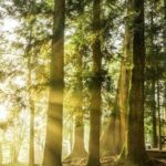 3-day Classic Taiwan History and Nature Private Tour - The Practical Side: What to Expect