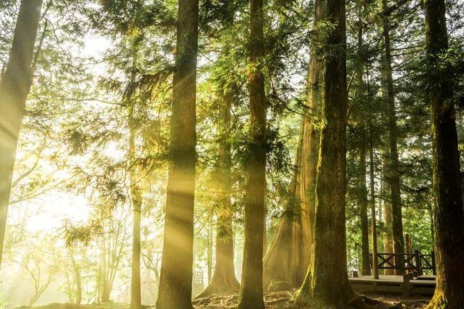 3-day Classic Taiwan History and Nature Private Tour - The Practical Side: What to Expect