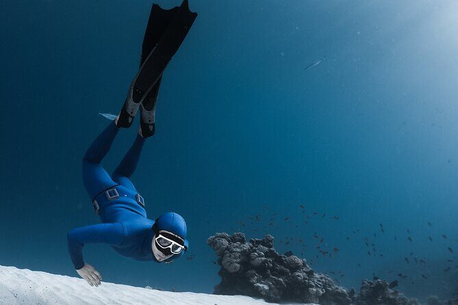3-Day Freediving Level 1 Course - Frequently Asked Questions