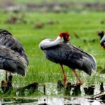 3-day group tour from Saigon to Phnom Penh - Who Should Consider This Tour?