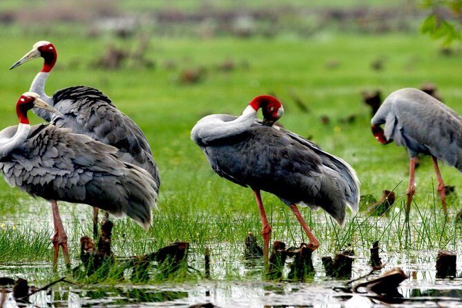 3-day group tour from Saigon to Phnom Penh - Who Should Consider This Tour?