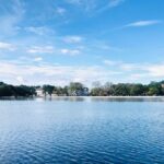 3-Day Heart of Sri Lanka, Kandy, Wonder 8 Sigiriya, Nuwara Eliya-Little England - What Travelers Say and Why It Matters