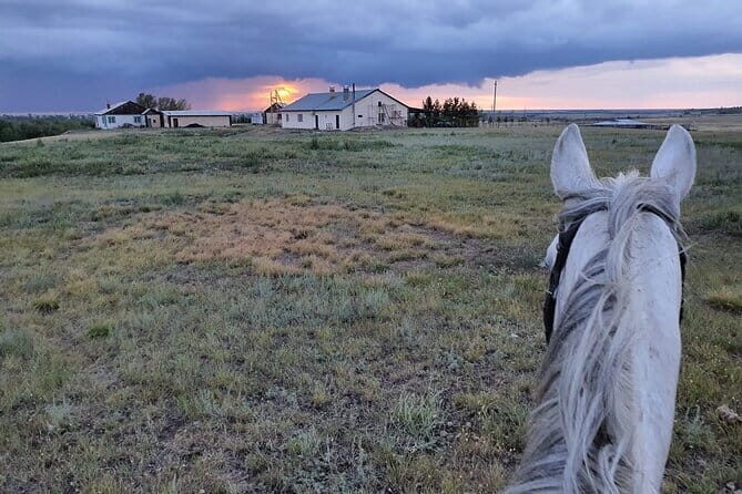 3-Day Horseback Adventure Through a Scenic Village Escape - Day 2: Deepening the Connection with Nature and Ranch Life