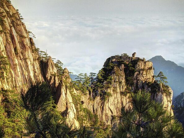 3-Day Huangshan and Hangzhou Private Tour from Shanghai by Bullet Train - Who Is This Tour Best For?