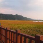 3-Day Korea Western course by K-shuttle Tour from Seoul to Busan - Analyzing the Tour’s Value