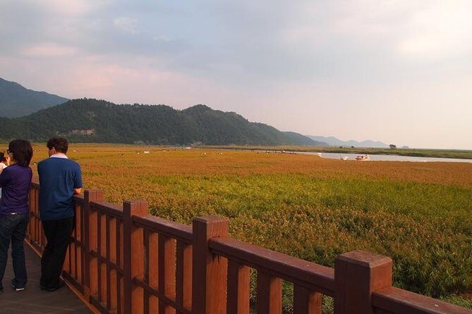 3-Day Korea Western course by K-shuttle Tour from Seoul to Busan - Analyzing the Tour’s Value