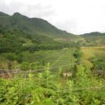 3 Day Lao Chai Ta Van Cat Cat Sin Chai Ma Tra Ta Fin from Hanoi by limousine bus - An In-Depth Look at the Itinerary