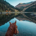 3-Day Private Horseback Riding and Hiking Tour in Kolsay - The Itinerary Breakdown: What to Expect Each Day