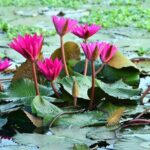 3 Day Private Lumbini Tour from Kathmandu - FAQs