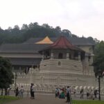 3 Day Privet Tour To Kandy & Sigiriya From Colombo - Authentic Feedback from Travelers