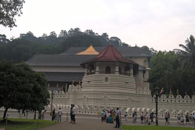 3 Day Privet Tour To Kandy & Sigiriya From Colombo - Authentic Feedback from Travelers