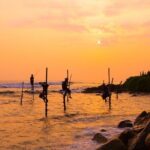 3 Day Sri Lanka Cultural tour and East Coastal tour - Practical Insights and Value Analysis