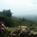 3-Day Trek in Amazing Muong Hoa Valley & ethnic Homestay - FAQ