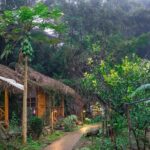 3-Day Trekking Adventure of Sapa from Hanoi - Stay Ta Van Village - Who Will Love This Tour?