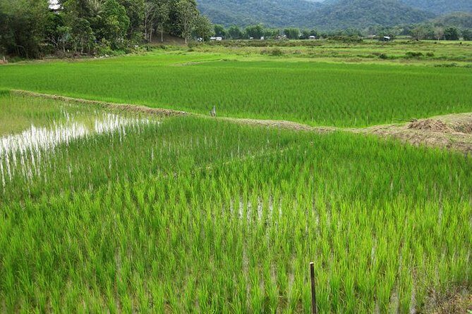 3 Days 2 Nights Bario Highlands Tour - Transportation & Logistics: What You Need to Know