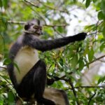 3 Days Bukit Lawang Tour (Happy Jungle) - What Makes This Tour Stand Out