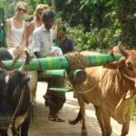 3 Days Glimpse of Sri Lanka - Who Is This Tour Best For?