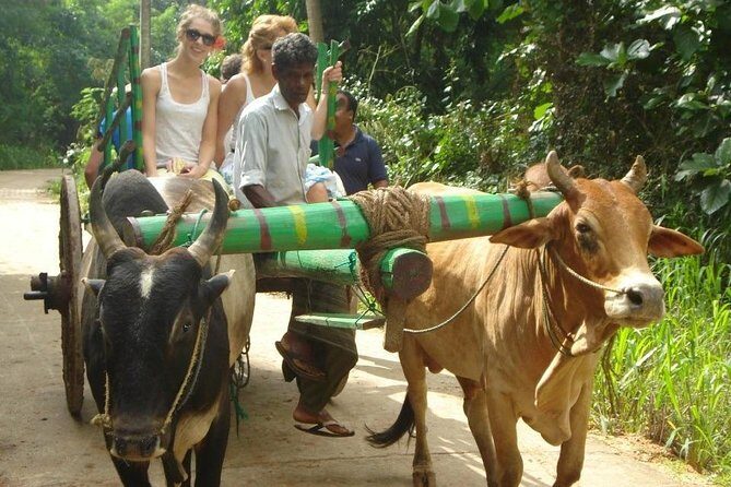 3 Days Glimpse of Sri Lanka - Who Is This Tour Best For?