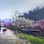 3 Days Ha Giang Loop Tour From Sapa & return to Hanoi City - Highlighted Stages of the Journey