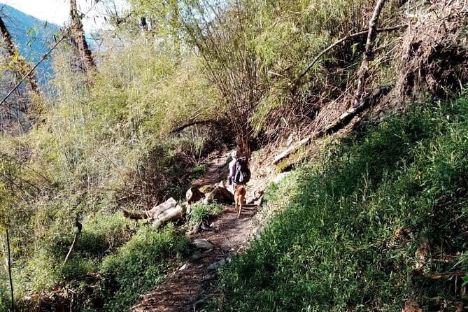 3 Days Kori Trek from Pokhara - Authentic Experiences and What Travelers Say