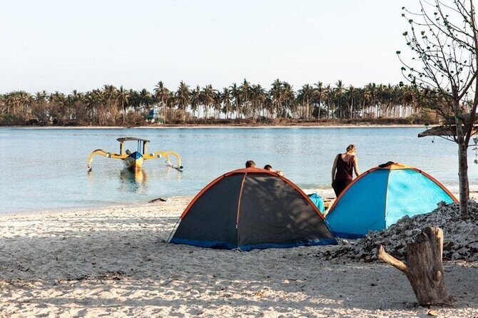 3 Days Lombok Sharing Tour - Day 2: Marine Encounters and Underwater Art