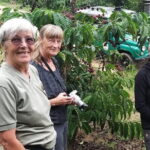 3 Days of Exploring the Beauty of the City with 5-Star Standards - Day 2: Nature and Local Culture