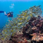 (3 Days) PADI Open Water Diver Course Kota Kinabalu - The Experience: What Sets It Apart?