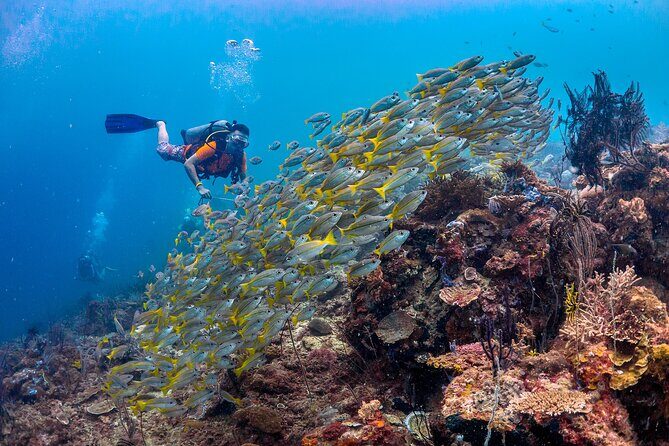 (3 Days) PADI Open Water Diver Course Kota Kinabalu - The Experience: What Sets It Apart?