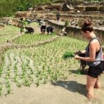 3 Days SAPA Real Experience at Local People House - Day Three: Sunrise, Sapa Town, and Return Journey