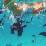 3 Days Tioman Island Package from Singapore (Private tour) - A Closer Look at the Tioman Island Tour
