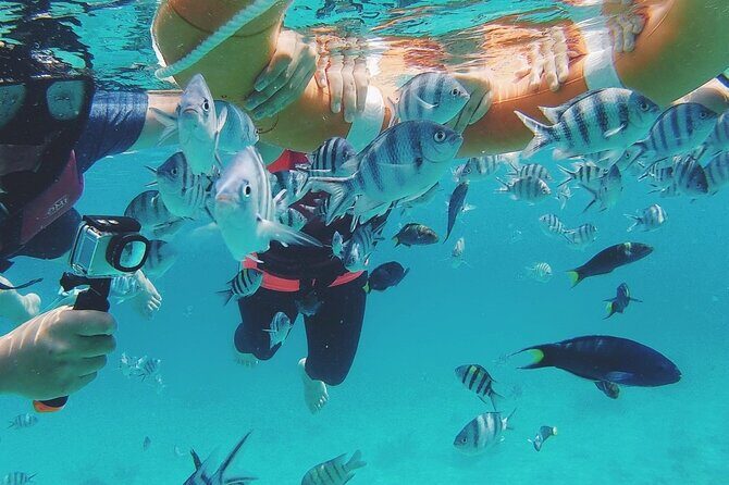 3 Days Tioman Island Package from Singapore (Private tour) - A Closer Look at the Tioman Island Tour