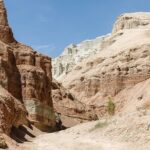 3 Days Tour: Altyn Emel NP, Charyn Canyon, Kaindy & Kolsay Lakes - Analyzing the Value