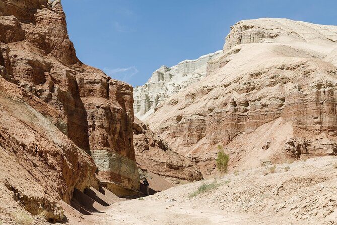 3 Days Tour: Altyn Emel NP, Charyn Canyon, Kaindy & Kolsay Lakes - Analyzing the Value