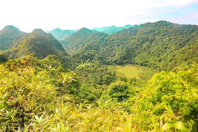 3 Days Tour from Cat Ba Town to Cat Ba National Park - Frequently Asked Questions