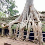 3 days tour in Siem Reap - What’s Included and What You Should Know