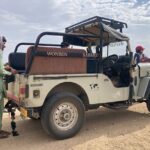 3 Days Tour in Wild Desert Safari - Transport, Group Size, and Practicalities