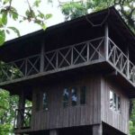 3-Days Tower Night Stay inside Jungle Tour - What Does Staying Inside the Jungle Tower Bring to Your Experience?