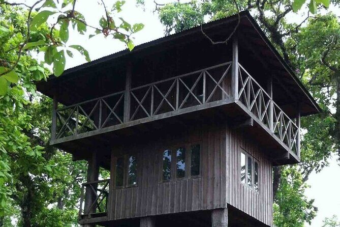 3-Days Tower Night Stay inside Jungle Tour - What Does Staying Inside the Jungle Tower Bring to Your Experience?
