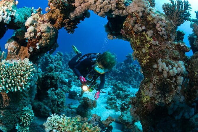 3 Fun Dives in Racha Yai and Racha Noi for Certified Divers - Food, Comfort, and Extras: Making the Whole Day Enjoyable