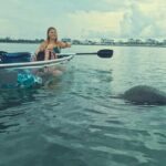 3-Hour Clear Kayak Beach Hopping Adventure in Sarasota - Practical Details and What They Mean for You