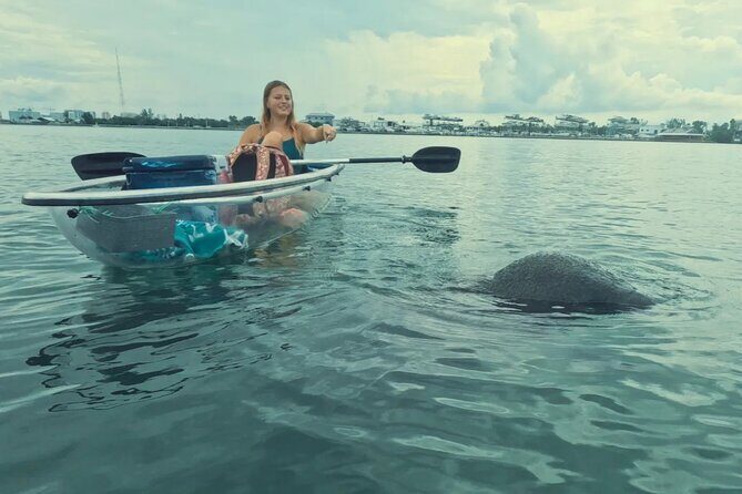 3-Hour Clear Kayak Beach Hopping Adventure in Sarasota - Practical Details and What They Mean for You