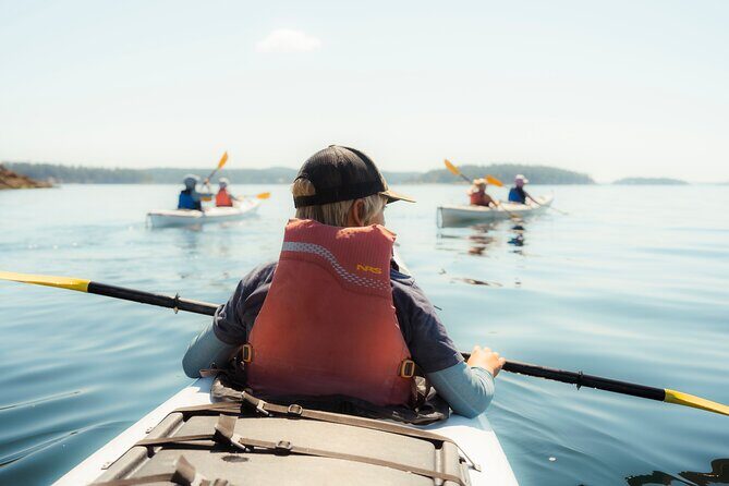 3 Hour Kayaking Tours from Friday Harbor - Who Should Consider This Tour?
