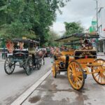 3-Hour Yogyakarta Hidden Food Walking or Cycling Guided Tour - Exploring Palembang Street’s Pempek
